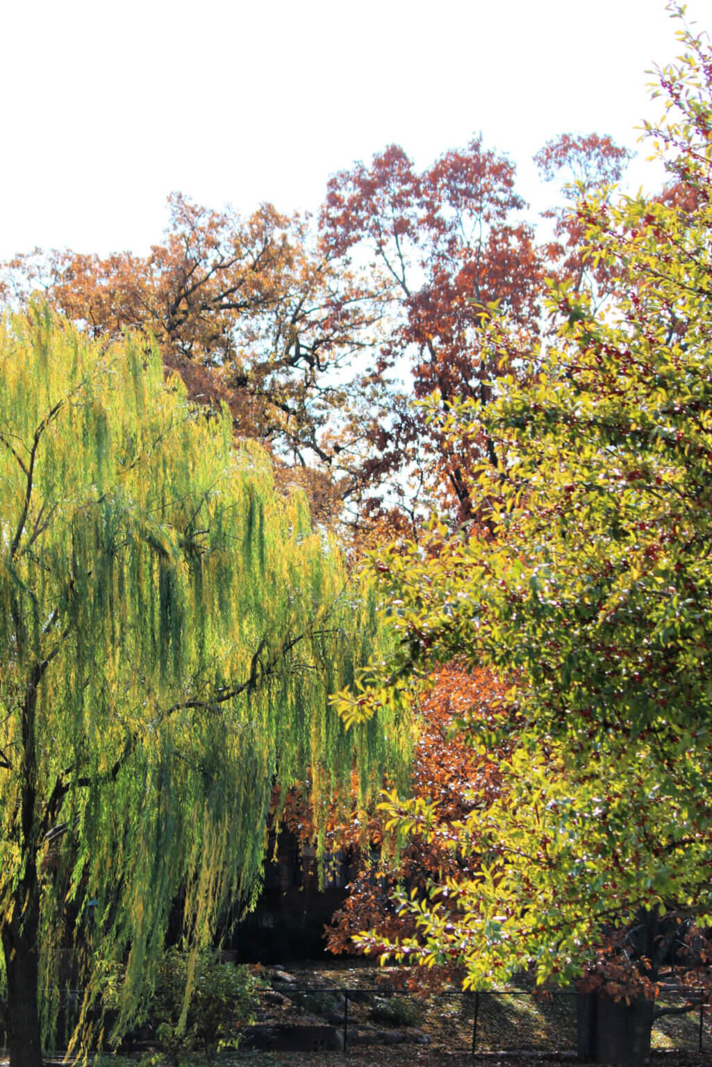 How To Create An Indoor Zen Space · Cozy Little House