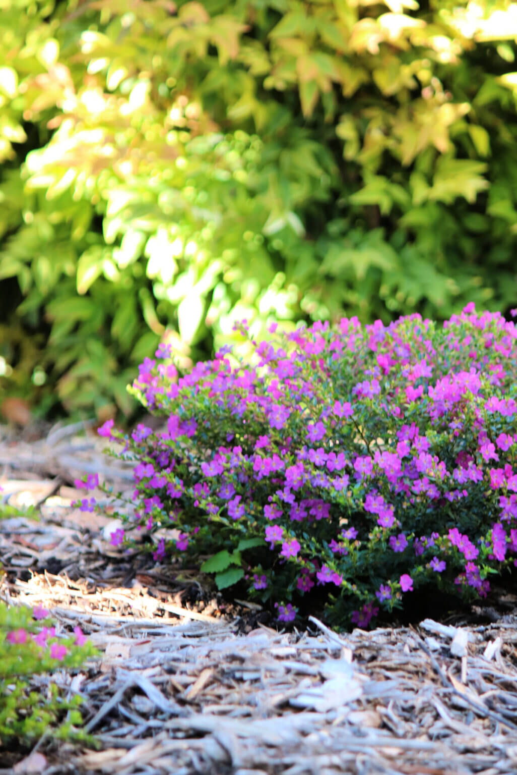 A Patriotic Plant Stand Vignette · Cozy Little House
