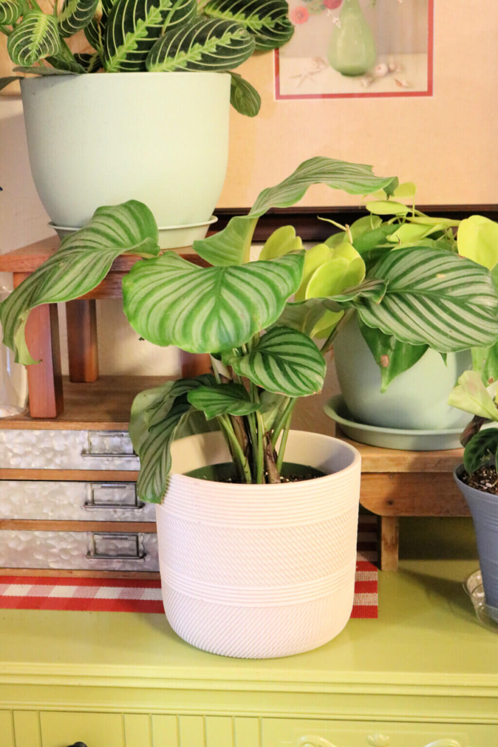 Sunday Snippets 4/9/23 · Cozy Little House