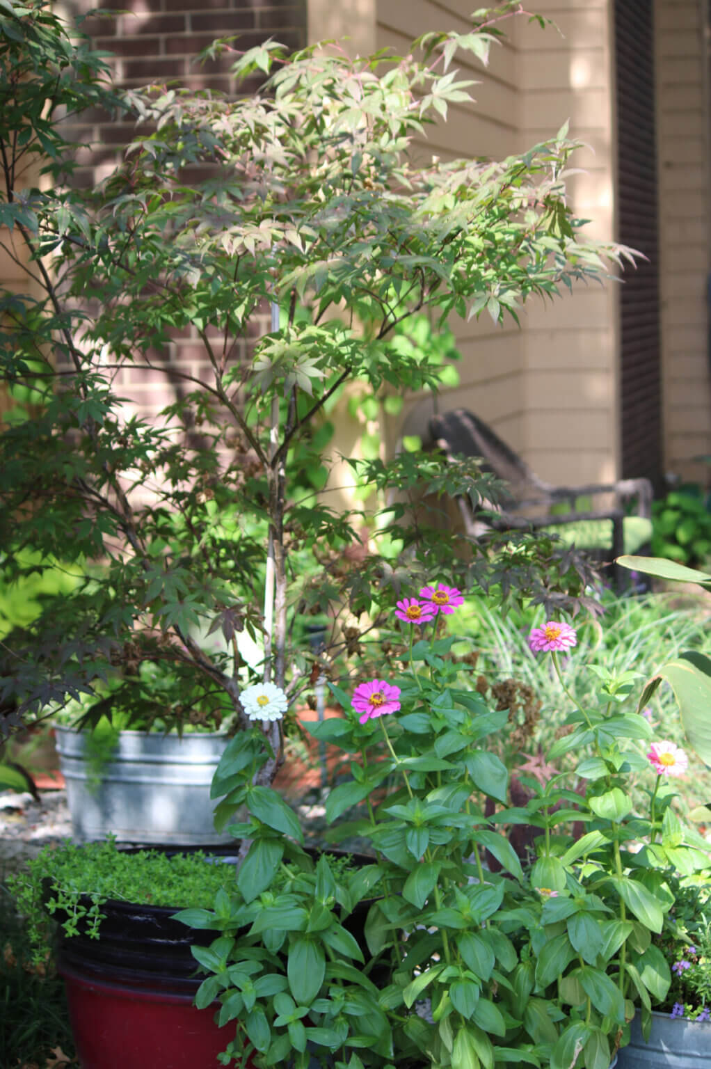 Sunday Snippets 1.21.24 · Cozy Little House