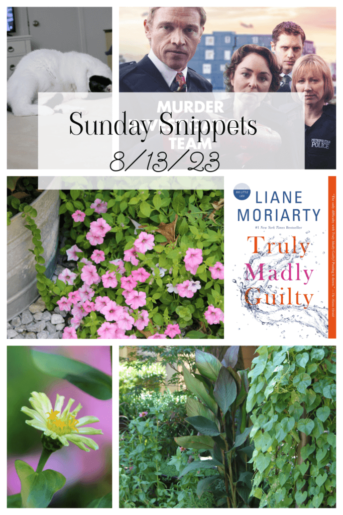Sunday Snippets 8/13/23 · COZY LITTLE HOUSE