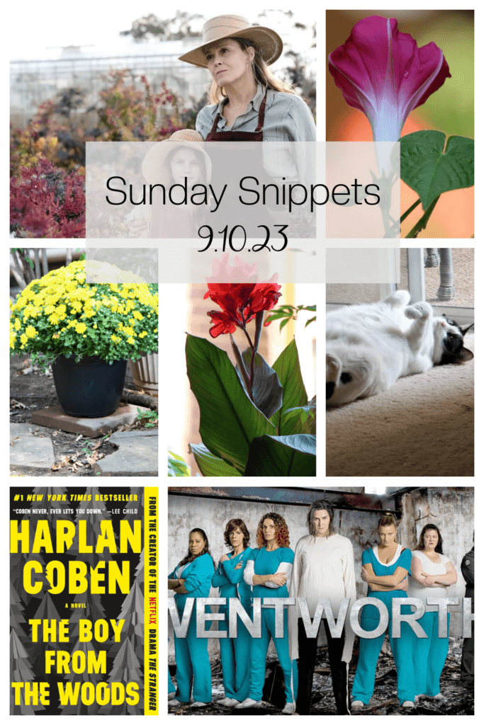 Sunday Snippets 1.28.24 · Cozy Little House