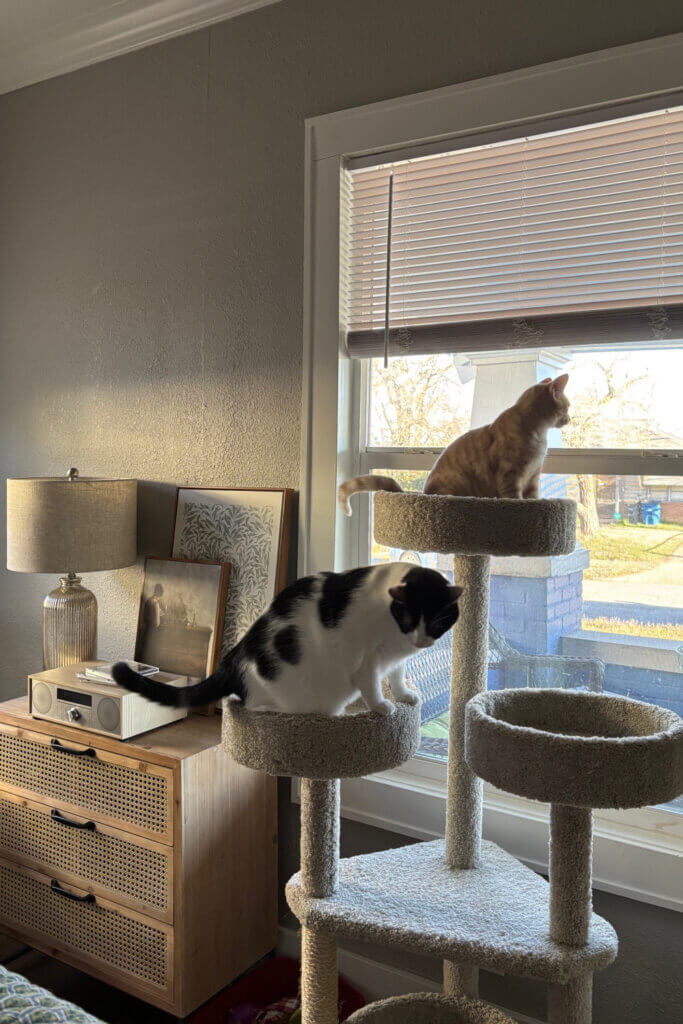 Simon & The Zoomies · COZY LITTLE HOUSE