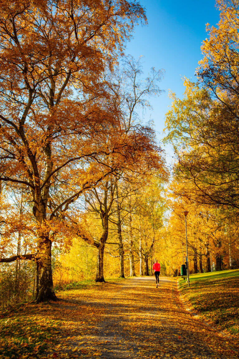 Embrace The Golden Season of Fall · COZY LITTLE HOUSE